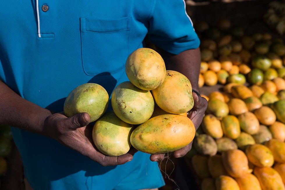 Wild African Mango - Viva Journal - Super Diet Foods